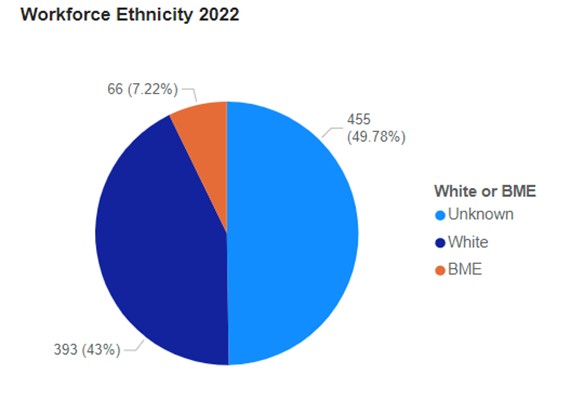 Workforce Race Equality Standard and Workforce Disability Equality ...